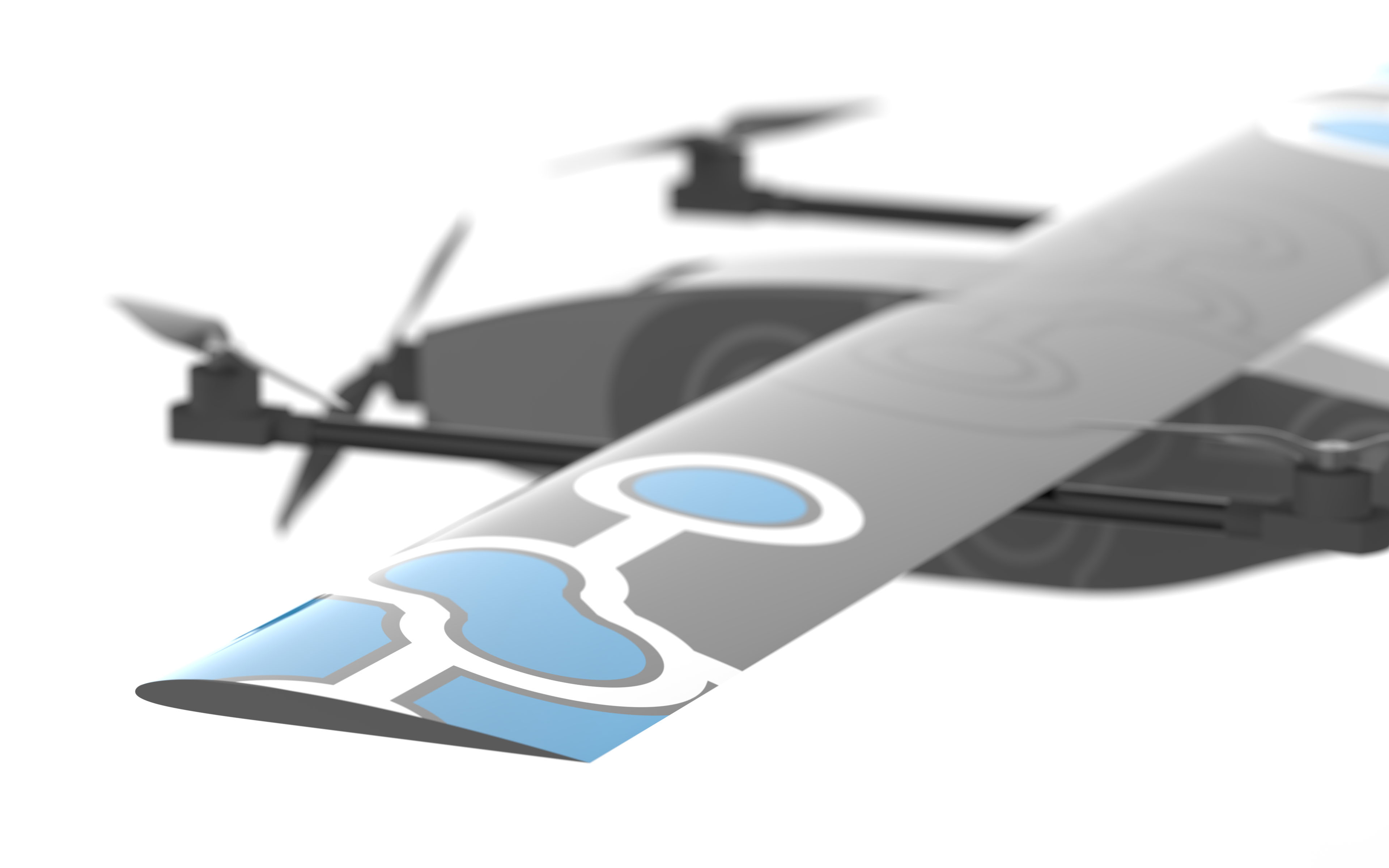 Surveillance - Frogs Indonesia